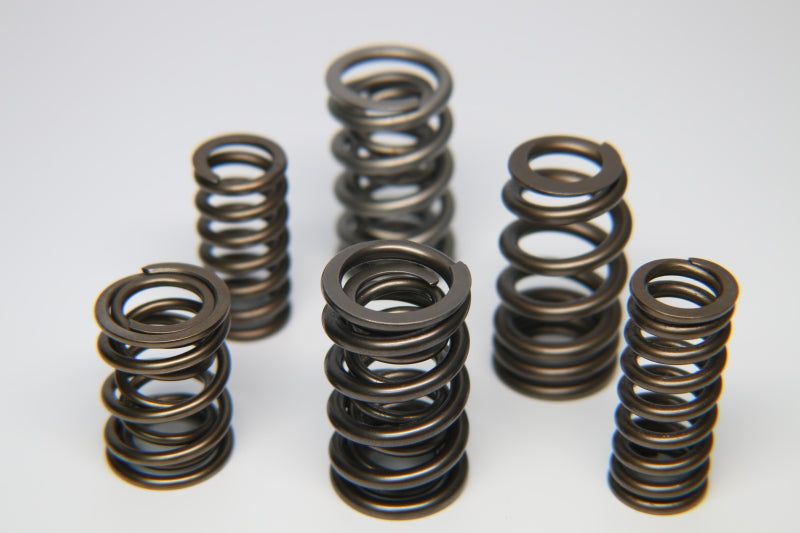 Ferrea Dual Valve Spring 95lbs - Nissan Skyline R33, R34 RB25DET NEO